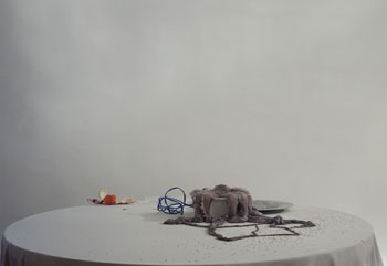 Art Splash: Laura Letinsky - After All - Yancey Richardson Gallery ...