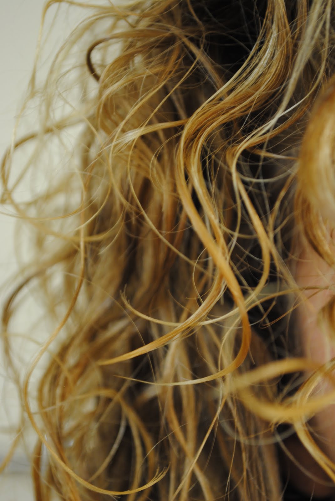 Low Impact Fashionista: Hair Products