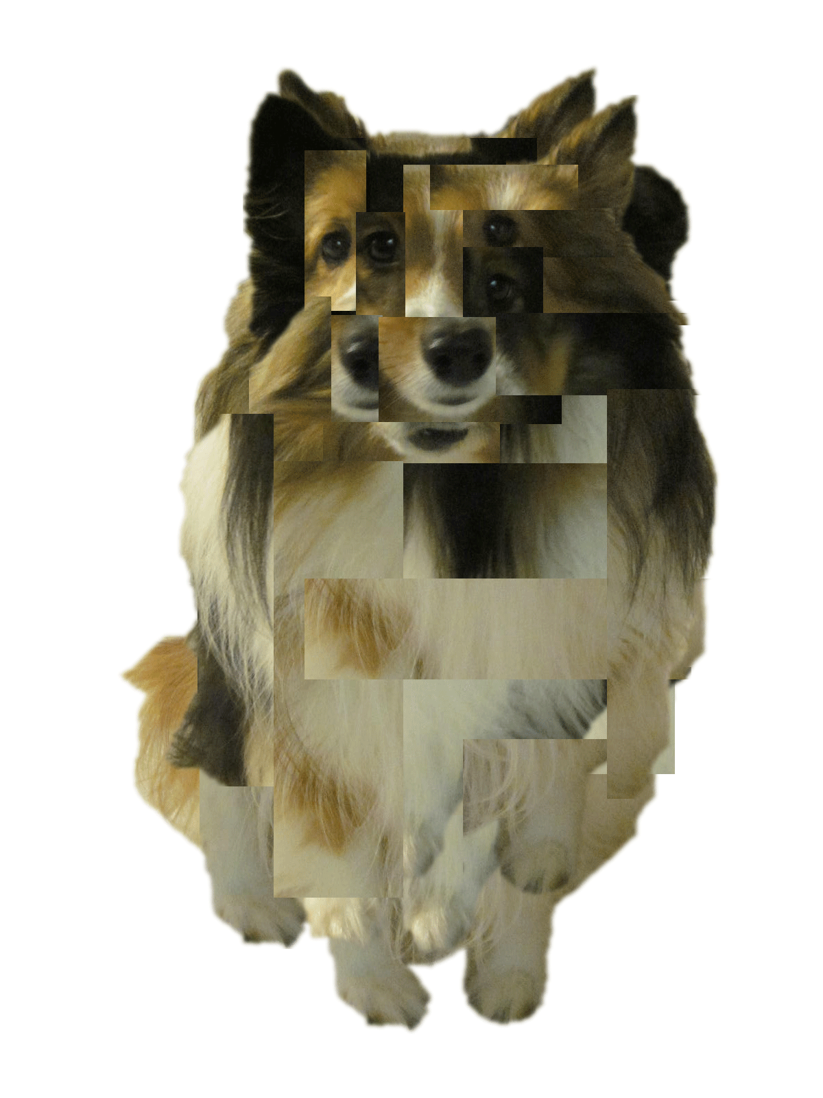 Stephen Holloway's Media Arts: Cubism