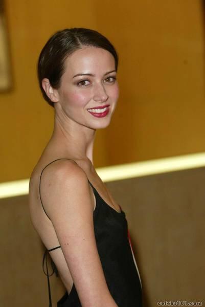 World Celebrities Pics Amy Acker