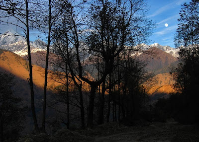 Berinag Travel Guide ~ Tour Services India