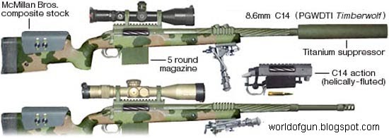 World of Gun: CANADIAN C14 MRSWS