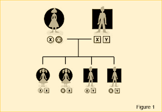 My Heredity and My Future: Why Is Heredity Important?