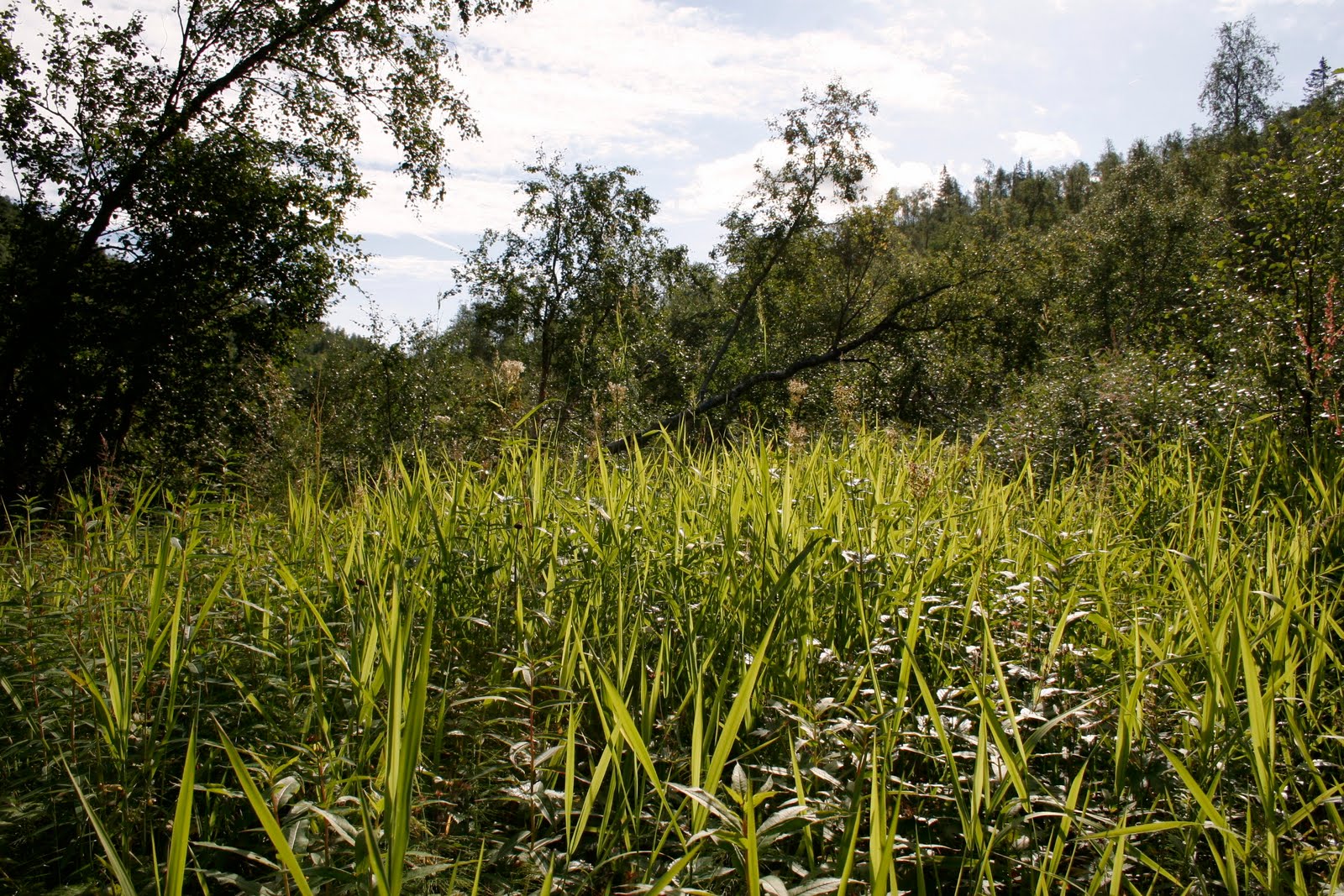"Ut på Tur": På besøk i Norges rikeste fjelldal!