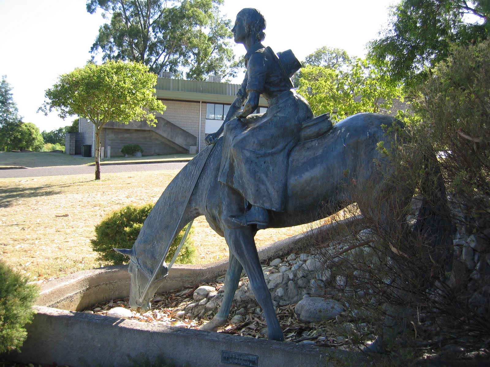 The Wild Reed: Journey to Gunnedah