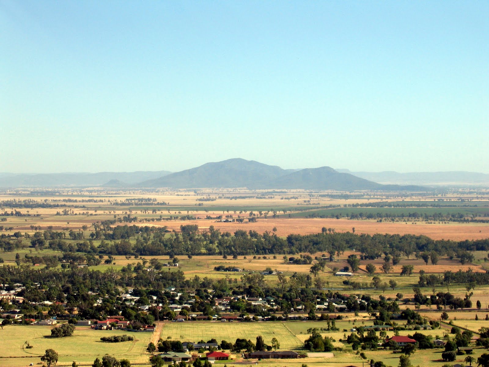 The Wild Reed: Journey to Gunnedah