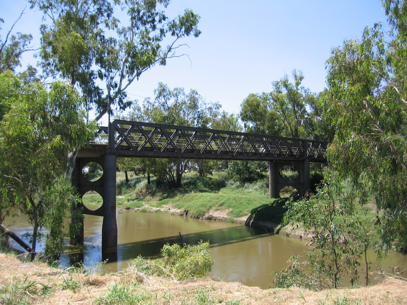 The Wild Reed: Journey to Gunnedah