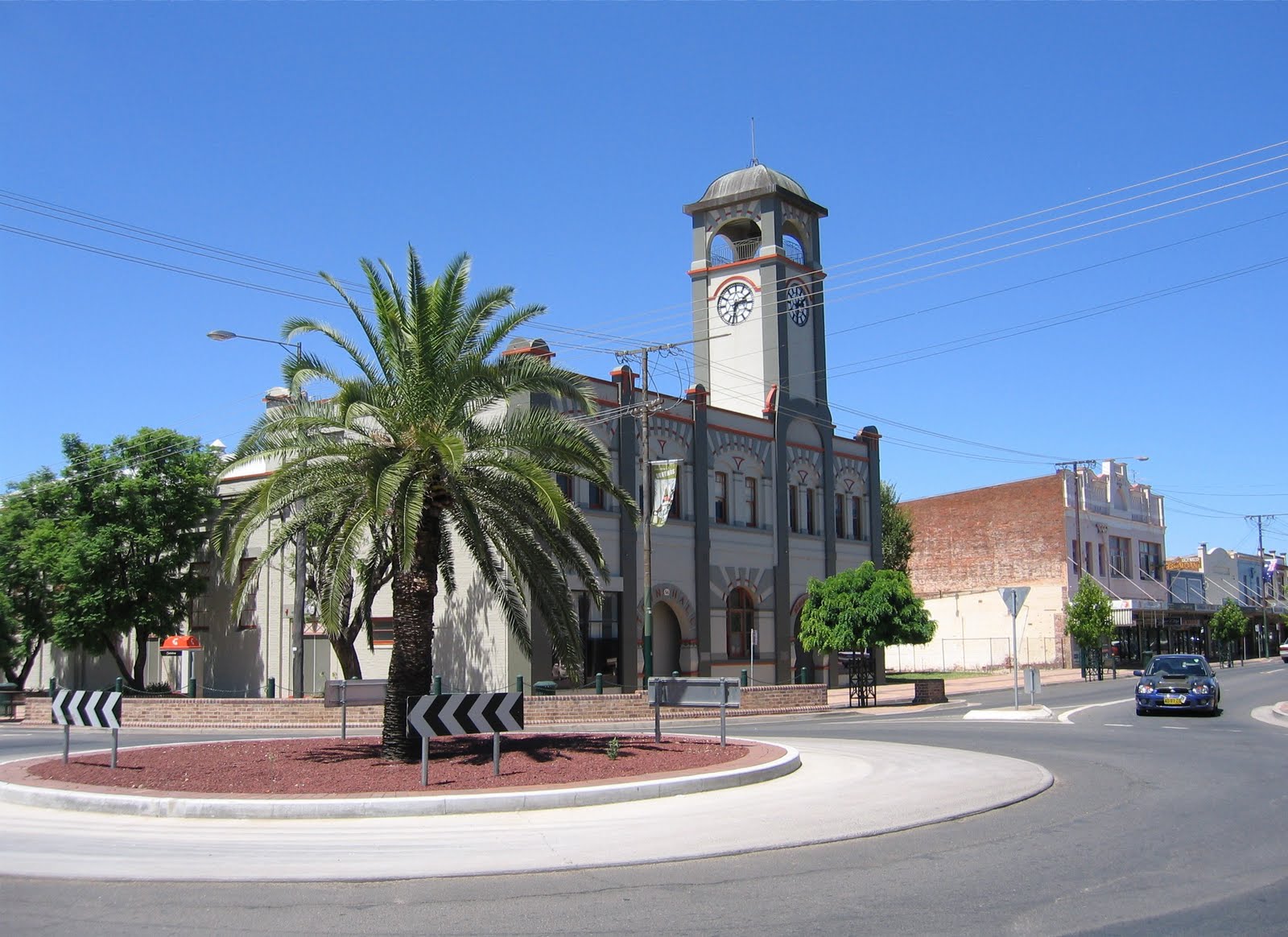 The Wild Reed: Journey to Gunnedah