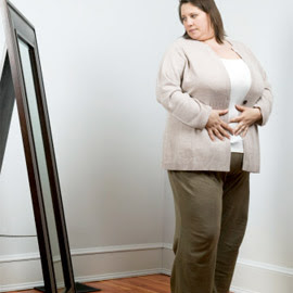 The Fat Kid Diaries: A fat girls mirror....