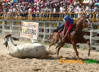 MIS PENSAMIENTOS: NUESTRO DEPORTE LLANERO