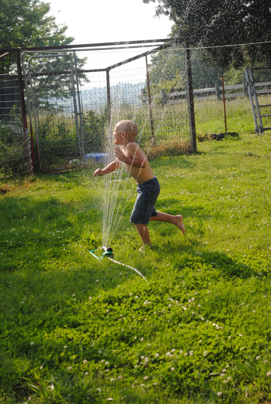 Love Grows Best in Little Houses: The Redneck Water Park!