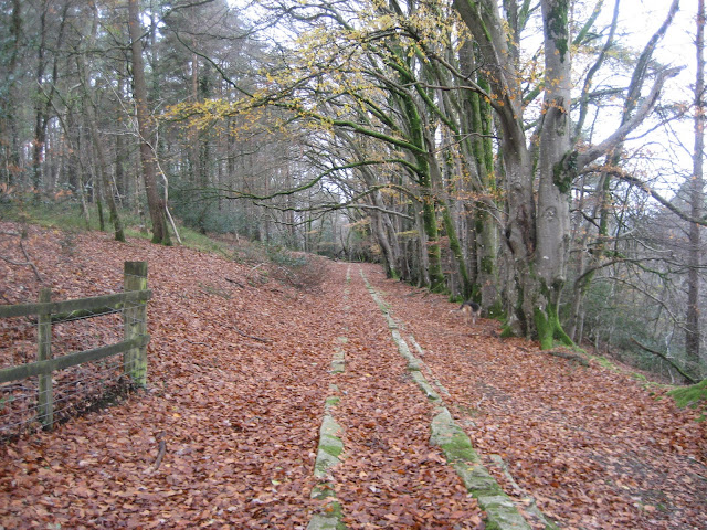 INSPIRED WALKS AROUND DEVON: Bovey Tracey following the Templer Way ...