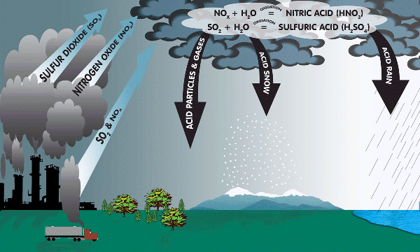 How does acid rain effect the enviroment?: What is acid rain?