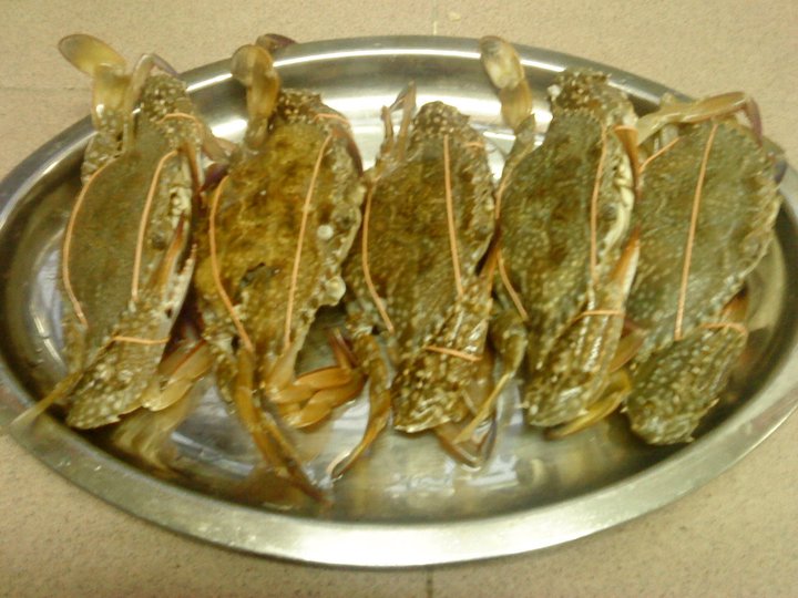 ~ MY SWEET RECIPE ~: KETAM LEMAK CILI PADI