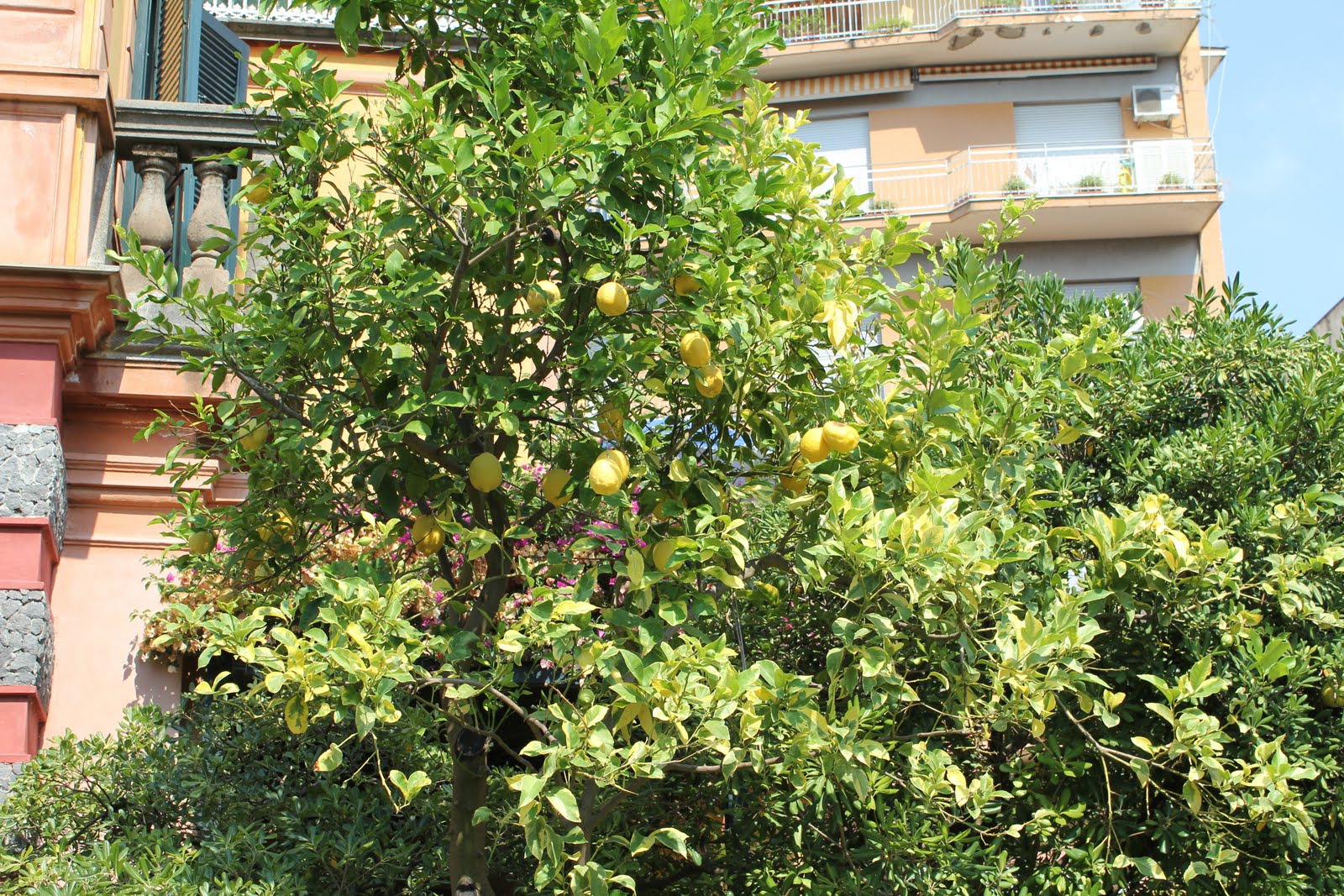 The Go-Ahead: Italy, Day One: Amalfi Coast