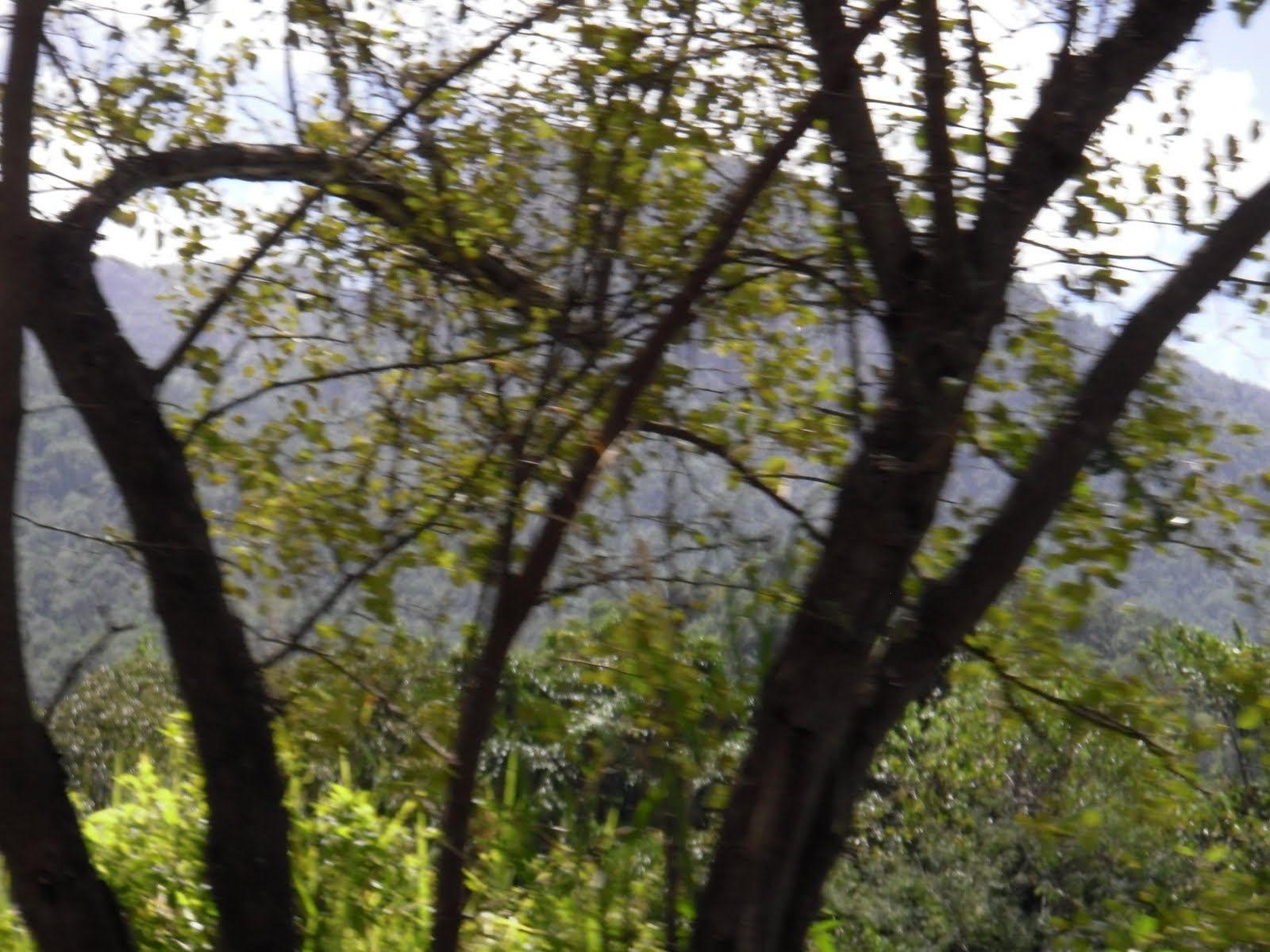 guyanatrip: Tuesday's visit to Moco Moco village and falls