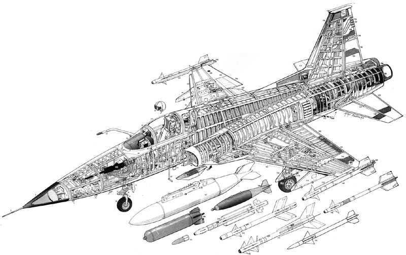 [Concluído] F-5EM FAB - F-5E AFV 1:48 - PlastiBrasil.com ...
