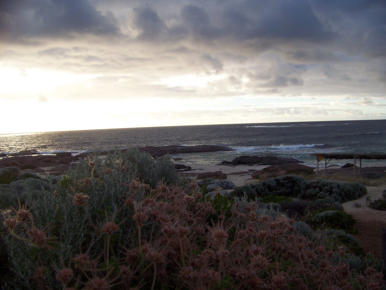 Felicity: Margaret River, Western Australia
