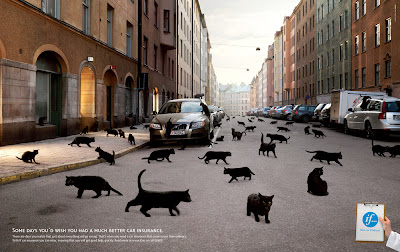 Insurance commercials: If Car Insurance Print Advert: Black cats
