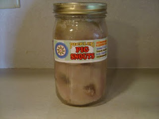 Scribbler: Pickled Pig Snouts