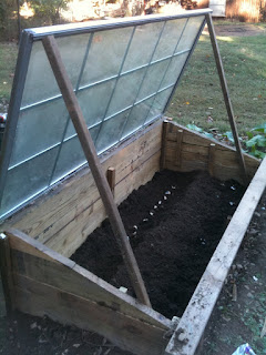 DIY Cold Frame | Ray's Garden - has moved on...