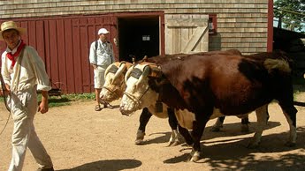 1 Million for Ross Farm Museum | Country 100.7