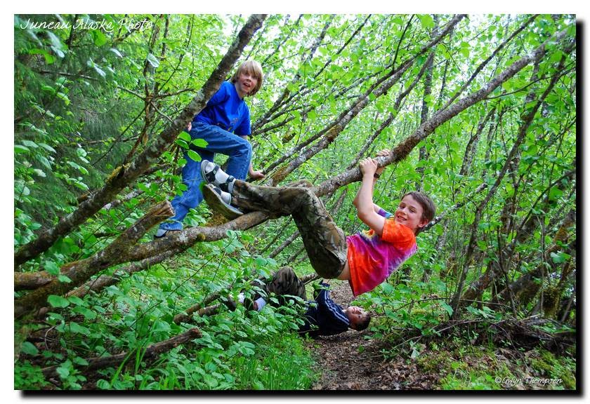 Juneau Alaska Photo: Alder Monkeys