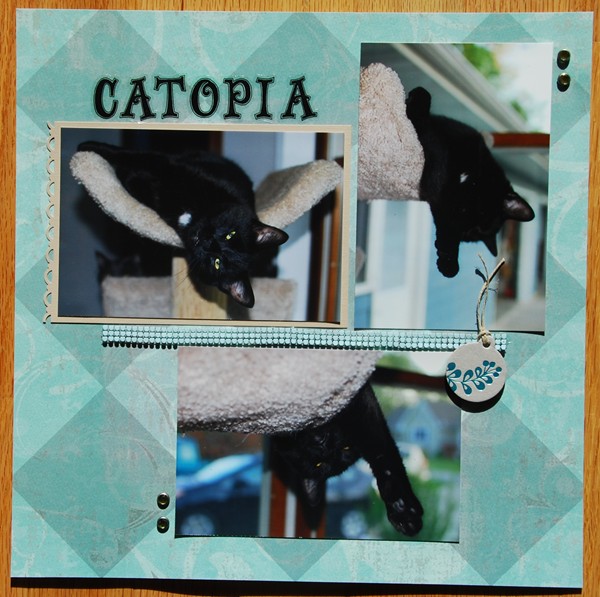 Imagine the Possibilities