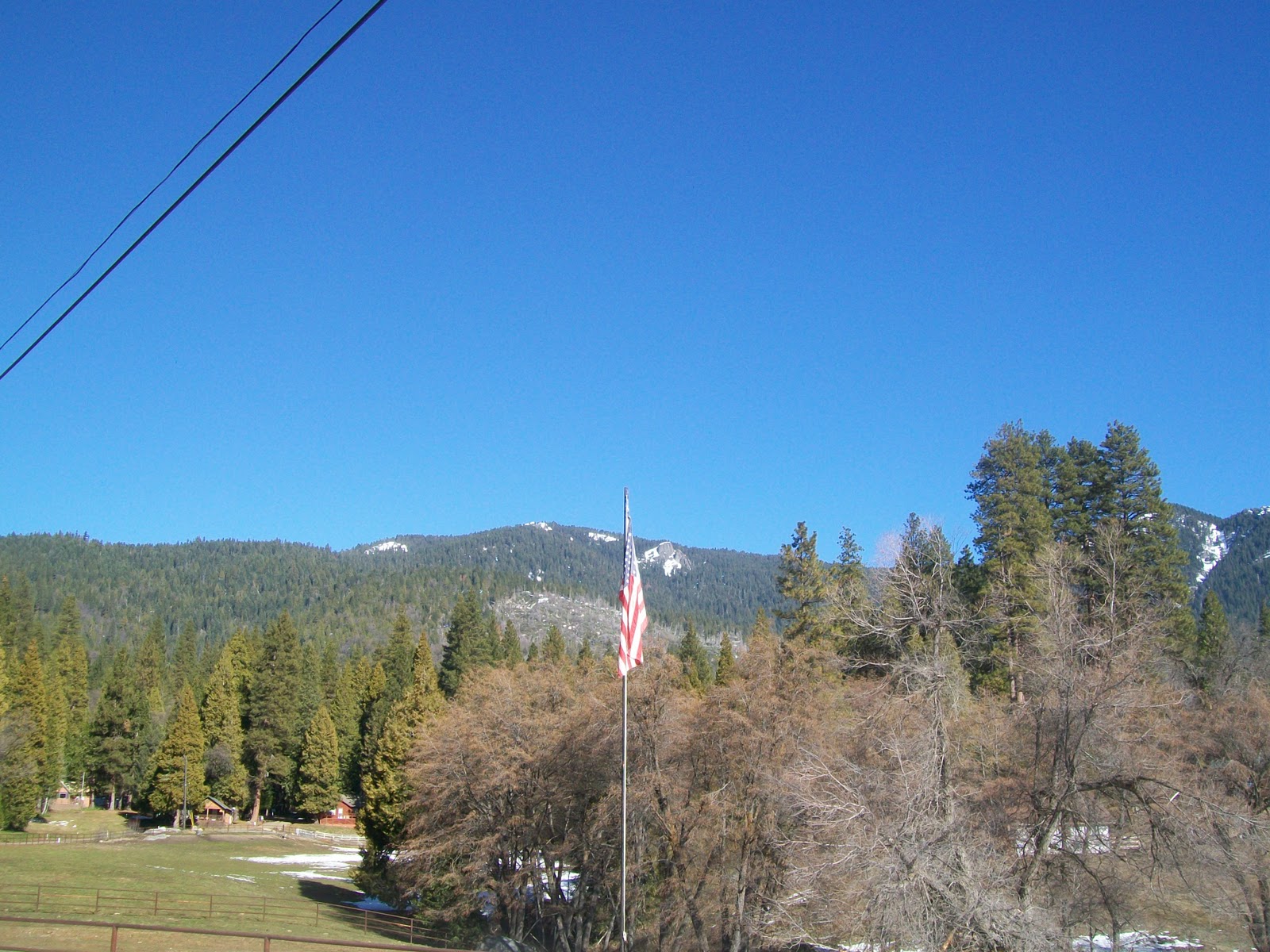 Experiencias USA: Sequoia (II) Camp Nelson