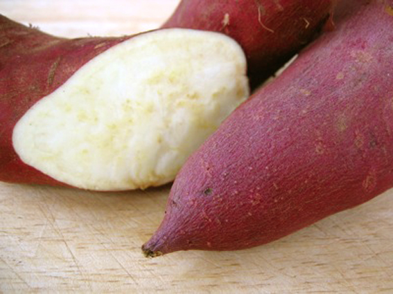 Flavors of Brazil: INGREDIENTS - Sweet Potato (Batata-doce)
