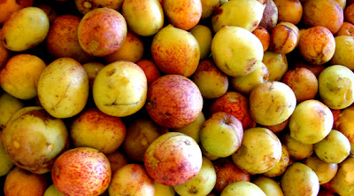 Flavors of Brazil: INGREDIENTS - Mangaba