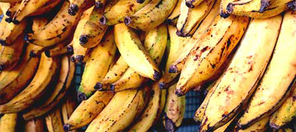Flavors of Brazil: FRUITS OF BRAZIL - Banana varieties