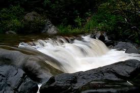 MY JOURNEYS: ANAKKAL a place near The MALAMPUZHA IN PALAKKAD