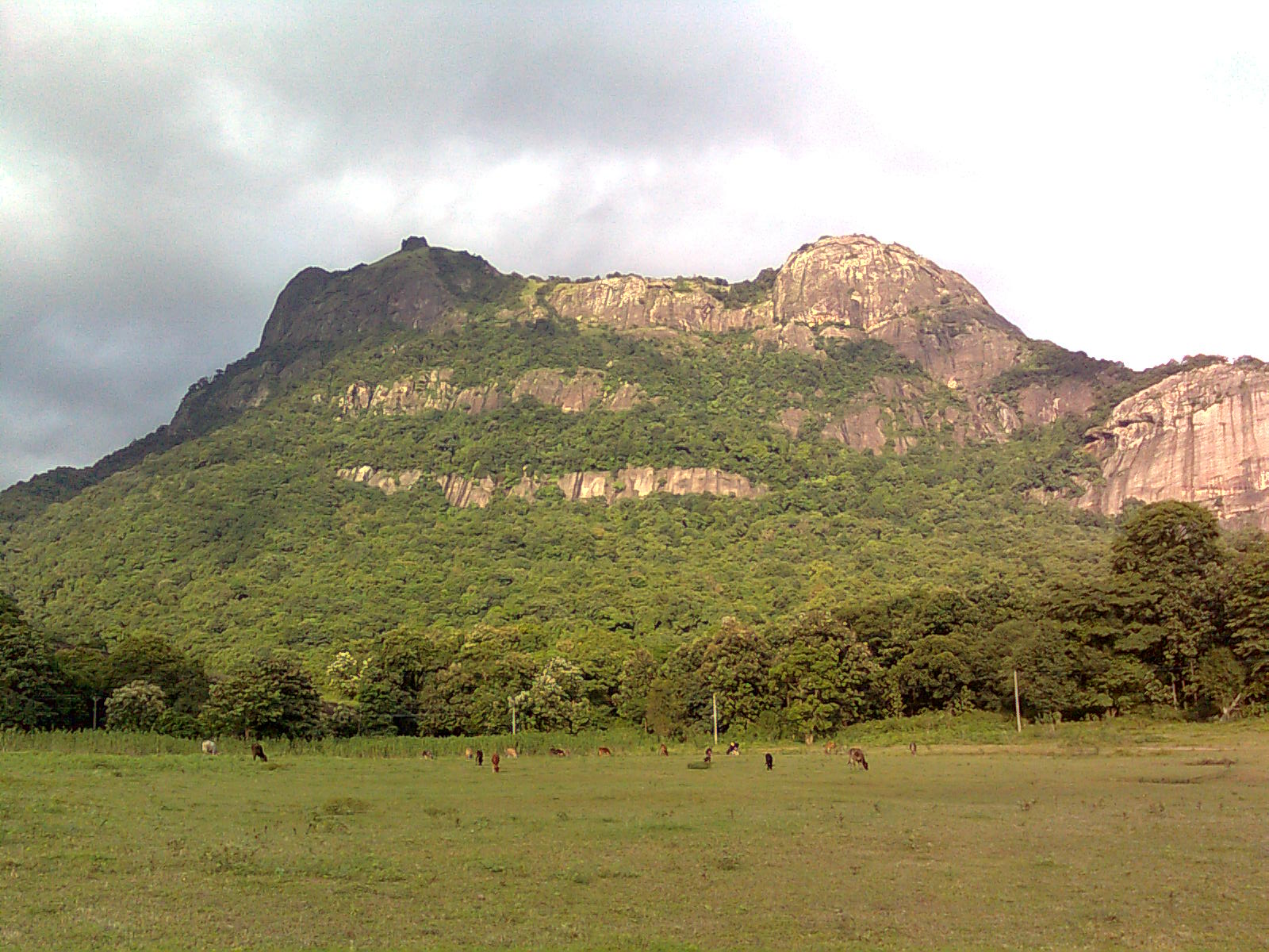 MY JOURNEYS: ANAKKAL a place near The MALAMPUZHA IN PALAKKAD