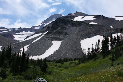 Linda's Lens: Flower Power - Pinnacle Ridge Trail