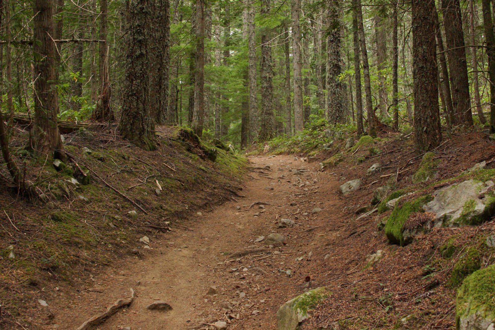 Linda's Lens: The Barlow Trail - A Hike Back In Time