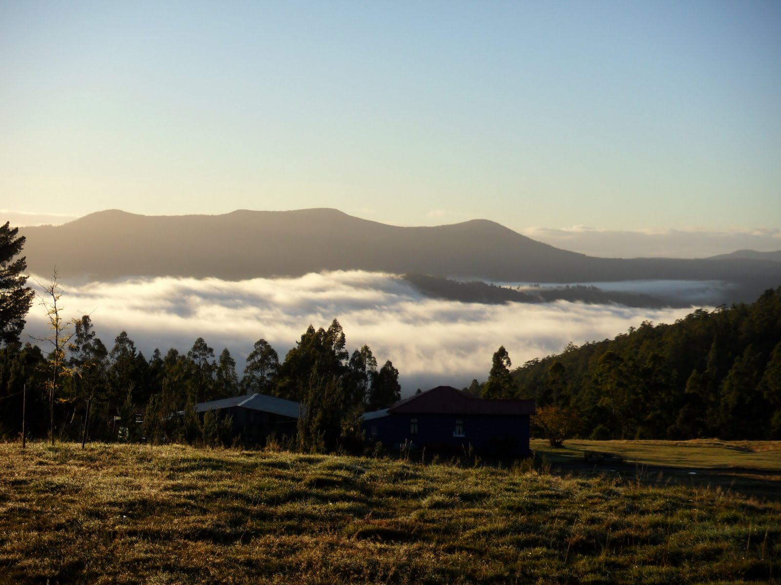 Huon View: Above the fog line