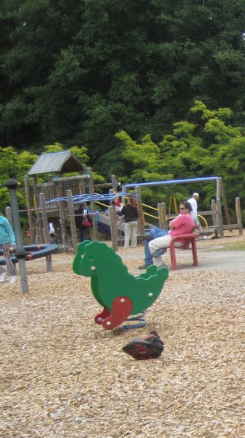 PlayMapped: Review: Ober Park Playground (Vashon Island, WA - Seattle)