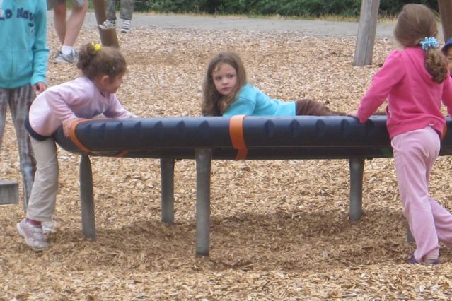 PlayMapped: Review: Ober Park Playground (Vashon Island, WA - Seattle)
