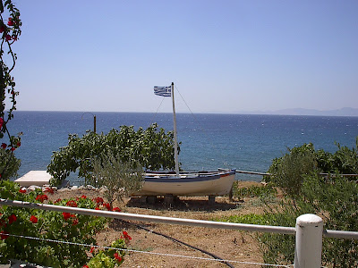 ΕΙΚΟΝΕΣ ΚΑΙ ΝΕΑ ΑΠΟ ΤΑ ΣΚΟΥΡΑΙΪΚΑ - ΣΑΜΟΥ: ΒΑΡΚΑ ΣΤΗ ΣΤΕΡΙΑ