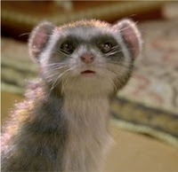 ImageLinks / Our Souls Are Different - TV Tropes