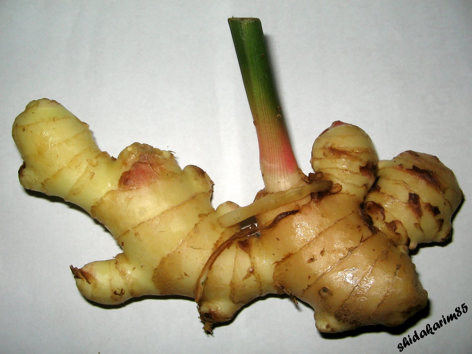 About My Life.. ♥♥♥: Khasiat Halia