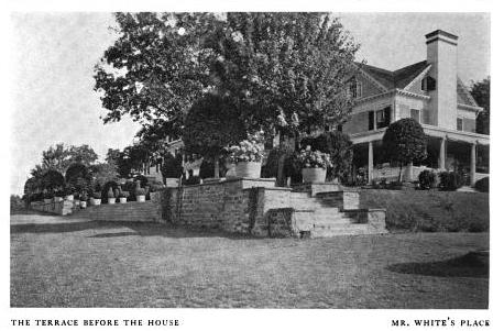 Old Long Island: 'Box Hill'