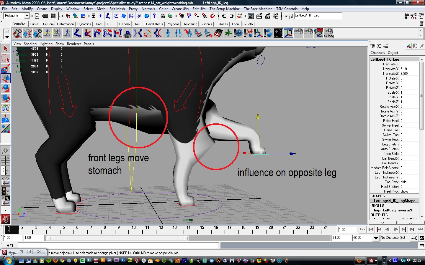 Lauren's Development Blog: Rigging- Cat