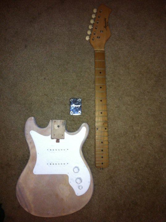 Vintage Bird: Distressed Guitar