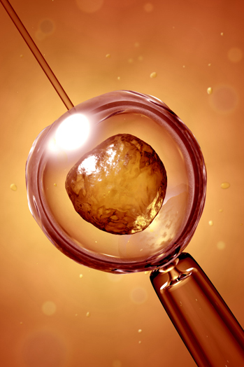 BioBlog: Designer Babies: How to meet up with todays standards.