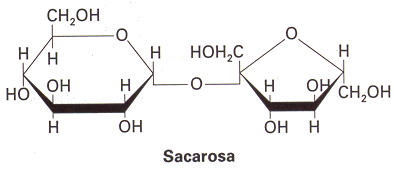 BIENVENIDOS: Ciclación de la fructosa (forma furanosa)