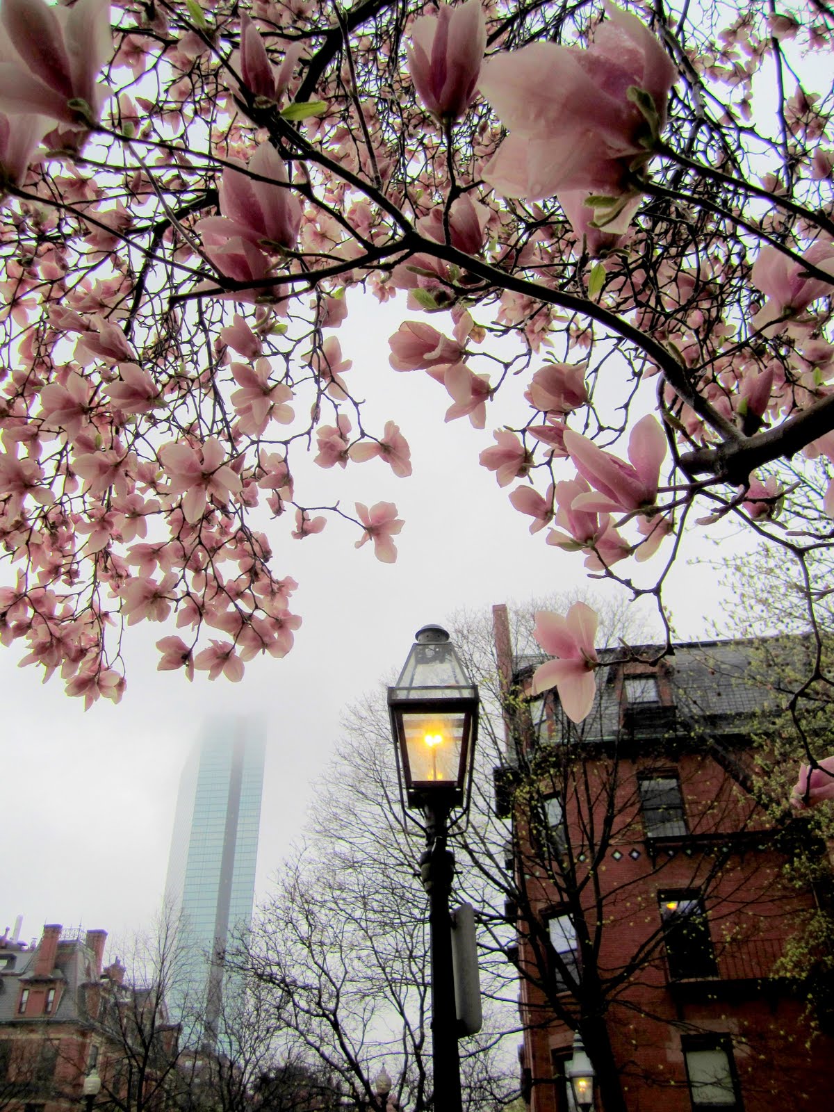 deliciously organized: spring showers