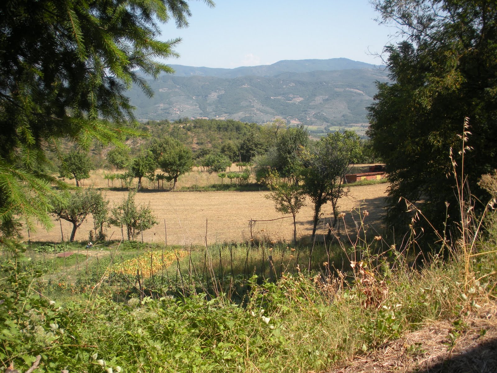 Campi (image)