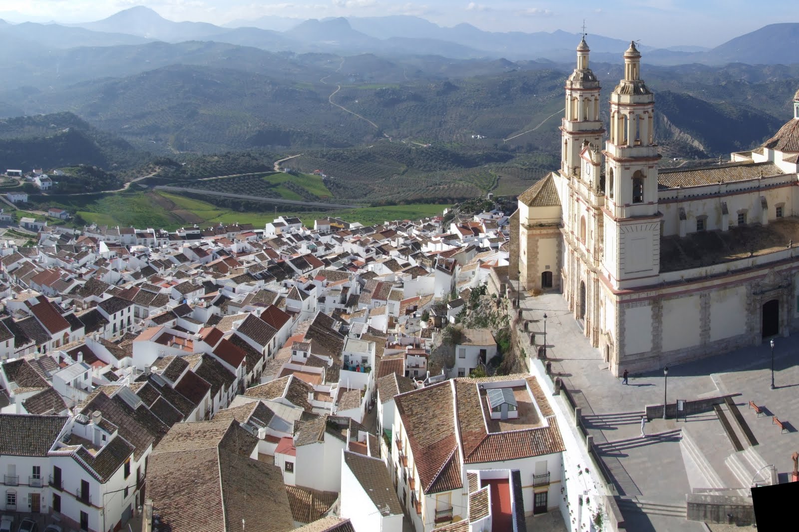 Olvera diary: January 2011